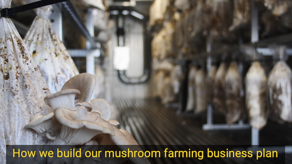 How we build our mushroom farming business plan – Mushroom-Cultivation
